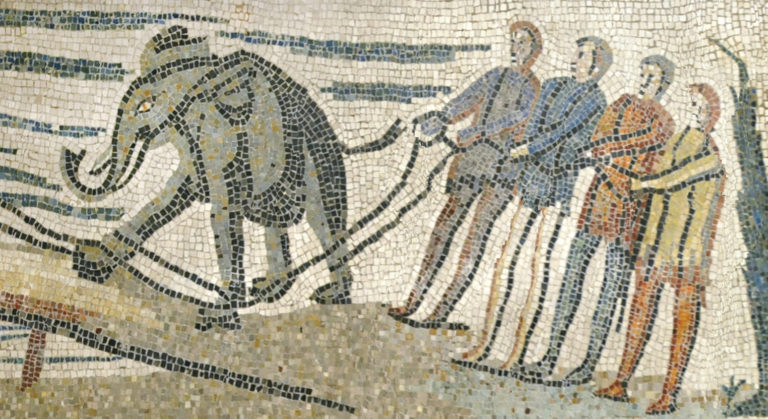 Sangre en la arena: animales en la antigua Roma • Antigua Roma al Día